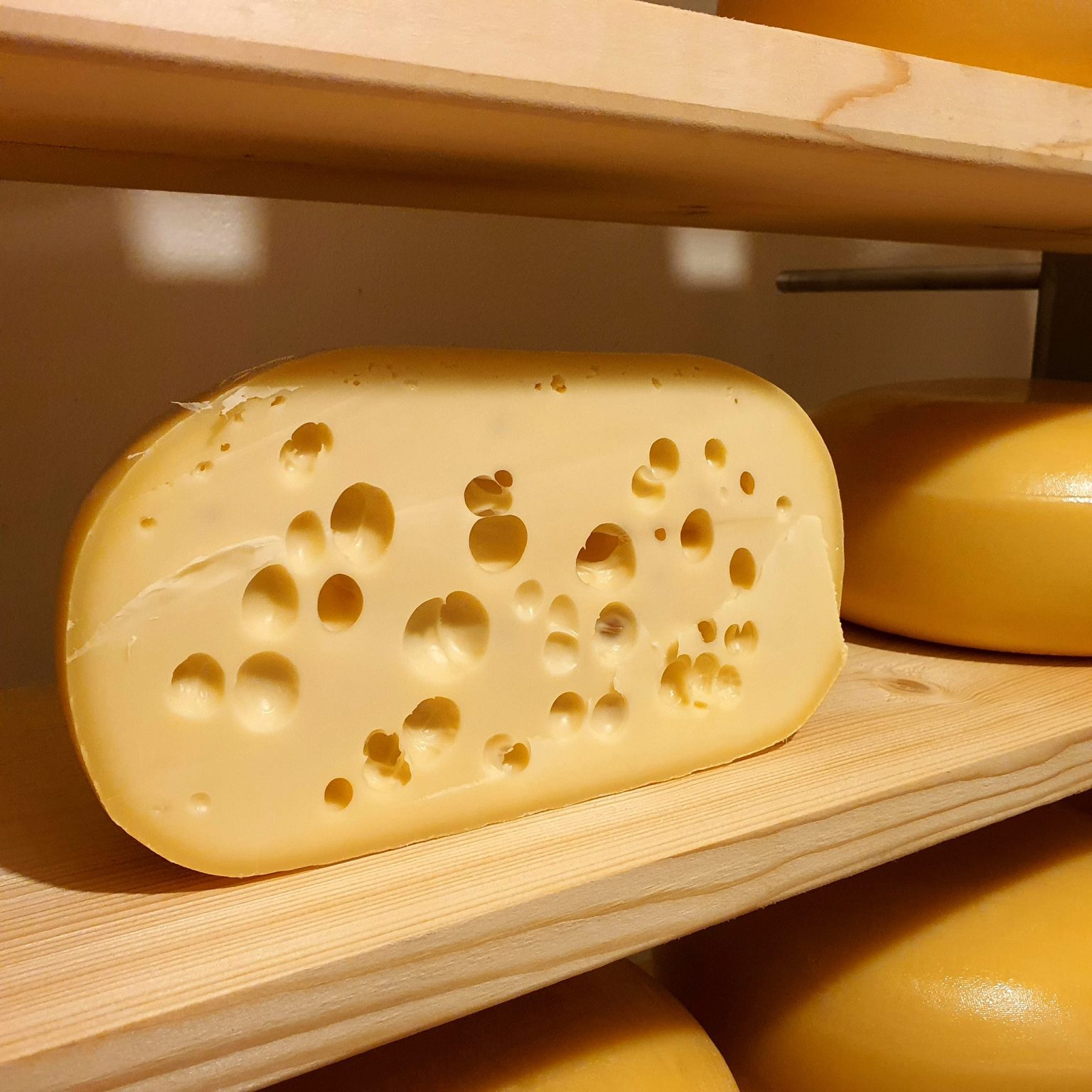 Sery dojrzewające – Radostowskie Rarytasy